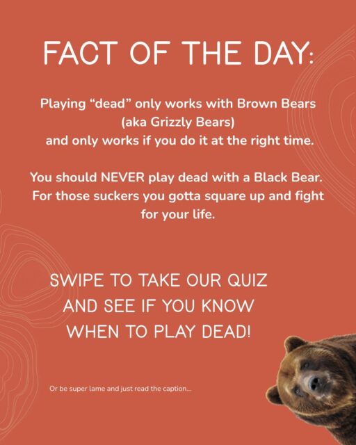 24/7 Bear Spray Rentals | Bear Spray Shack